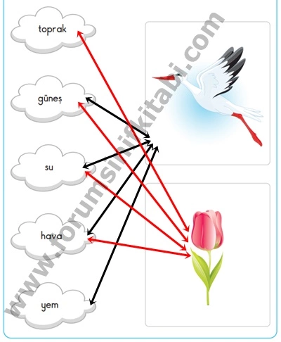 👑2. Sınıf Hayat Bilgisi Kitabı Sayfa 199-200-201-202-203-204 SDR DİKEY Yayıncılık - Forum Sınıf ...