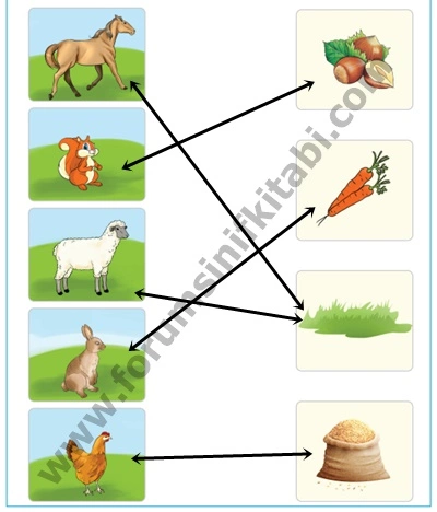 👑2. Sınıf Hayat Bilgisi Kitabı Sayfa 199-200-201-202-203-204 SDR DİKEY Yayıncılık - Forum Sınıf ...